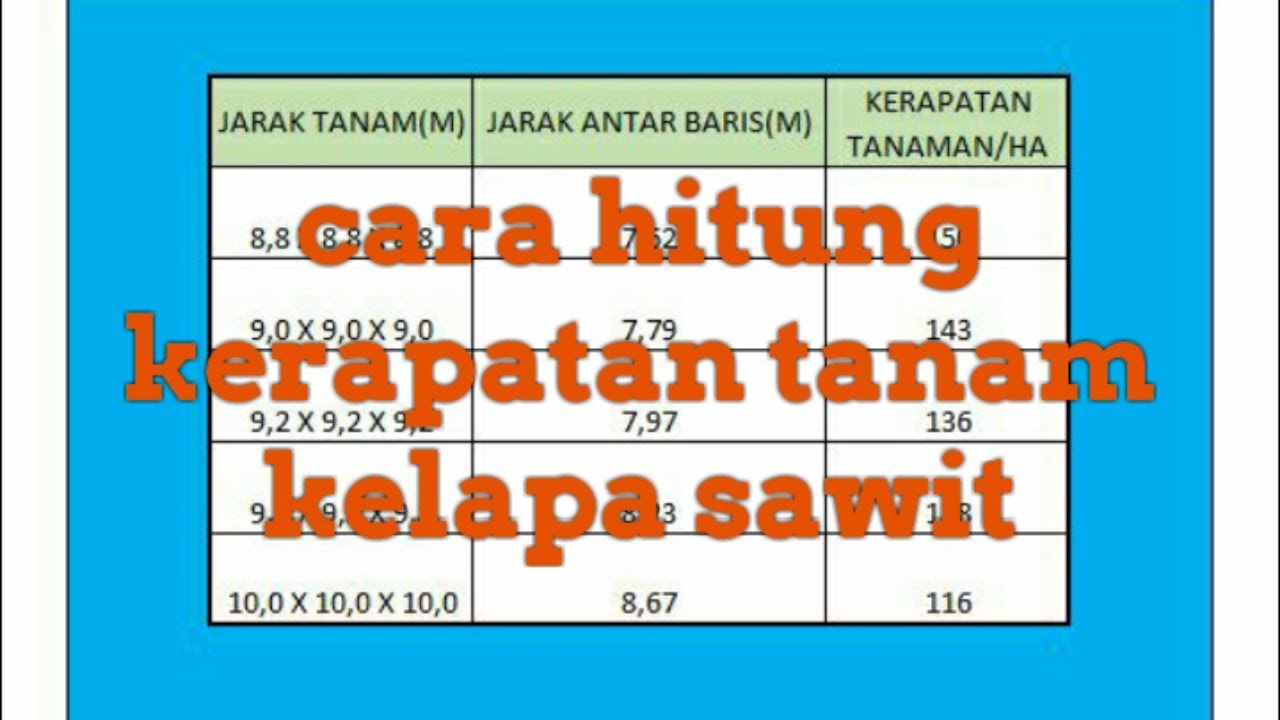 CARA MENGHITUNG KERAPATAN TANAM KELAPA SAWIT DAN HITUNG JUMLAH SAWIT CARA MENGHITUNG KERAPATAN TANAM KELAPA SAWIT DAN HITUNG JUMLAH SAWIT