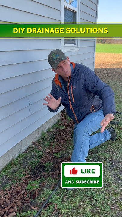 Pro Tip | Drainage Solutions You Can DIY in Your Landscape - YouTube