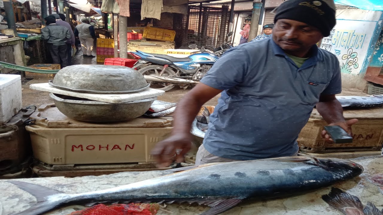 Great Huge Big Para Fish Cutting Skills Live In Kolkata Fish Market ...