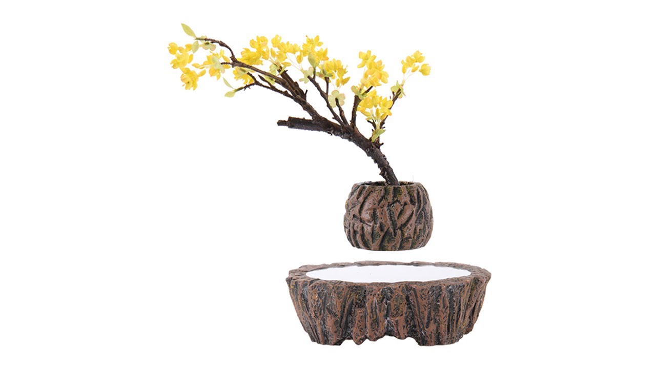 magnetic levitation floating bonsai art with rock and lake design - YouTube