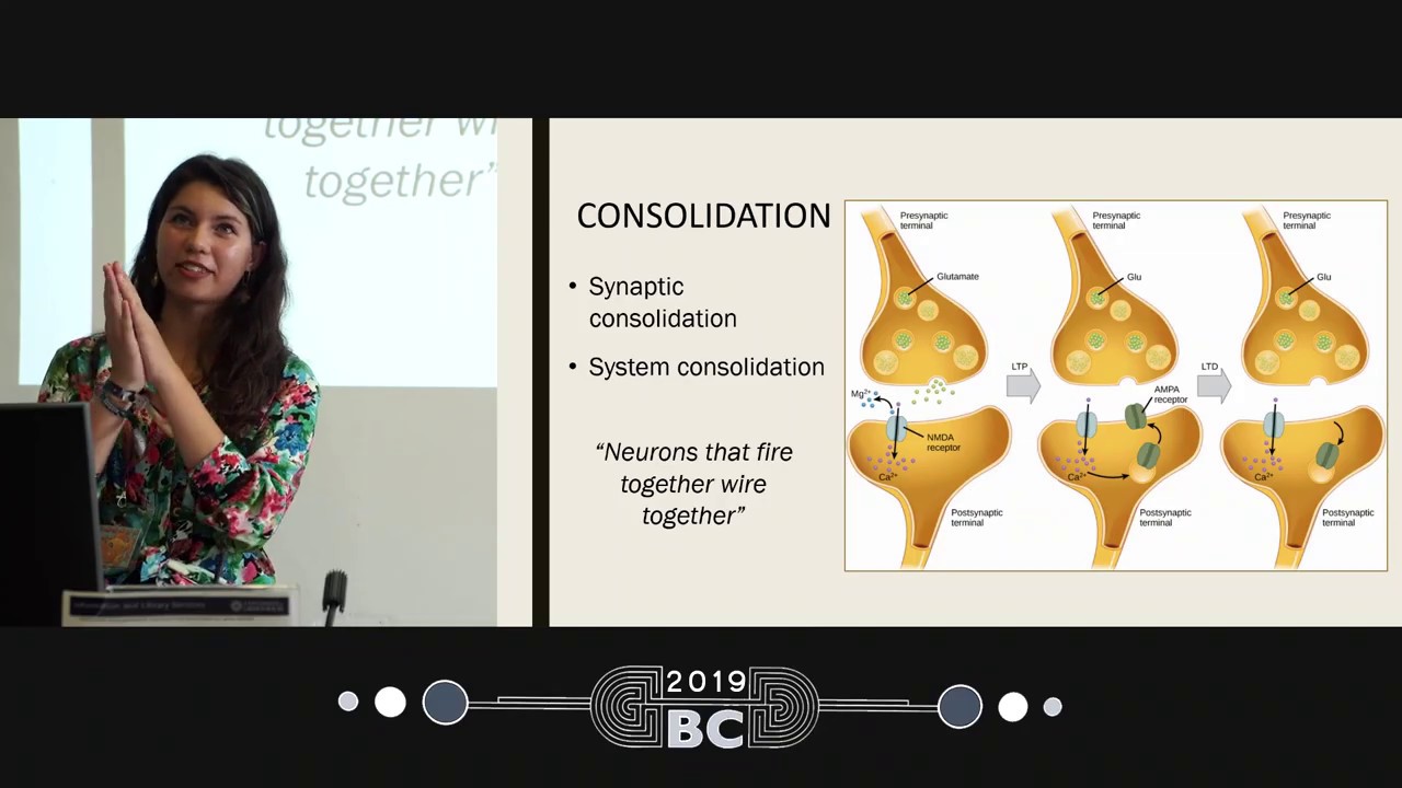 Maria Balaet - The impact of Psychedelic Drugs on Memory Processing ...