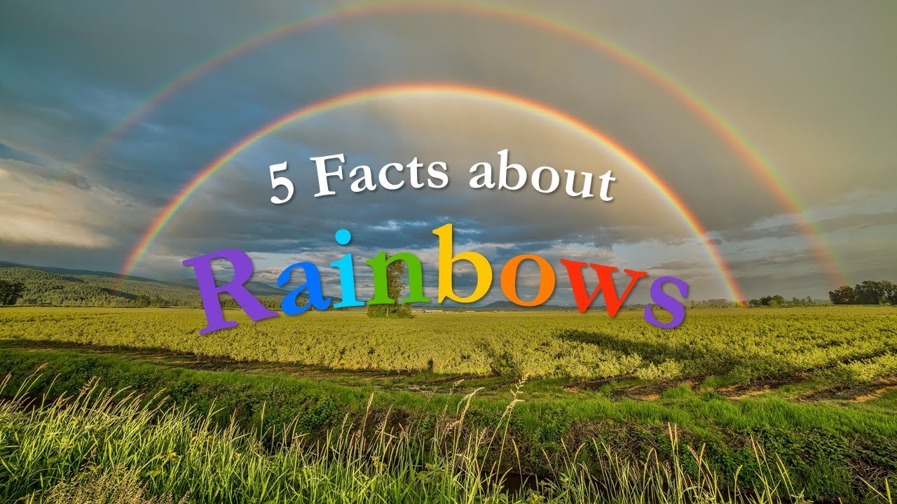 5 Facts About Rainbows YouTube 5-facts-about-rainbows-youtube