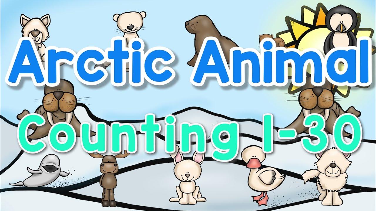 Dance and Count to 30 |Winter Count the Number 1-30| Arctic Animals ...
