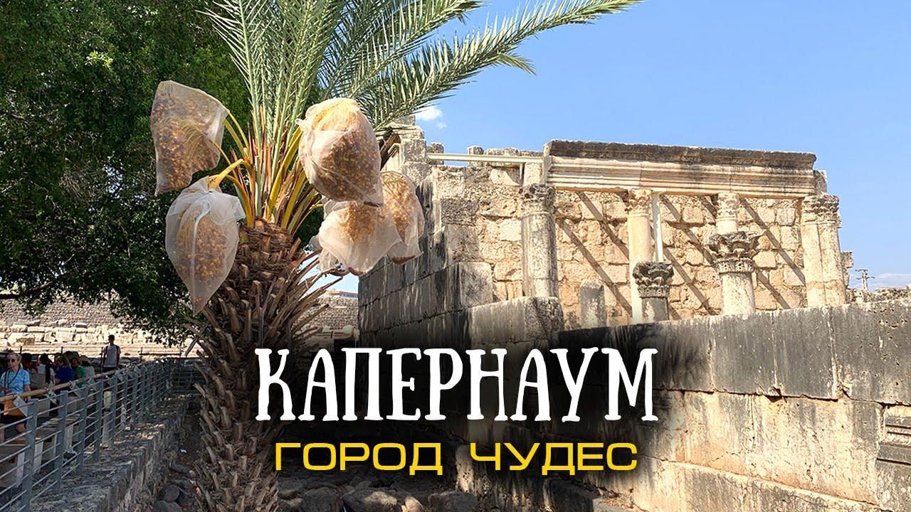 Капернаум Сто чудес и одно проклятие Youtube
