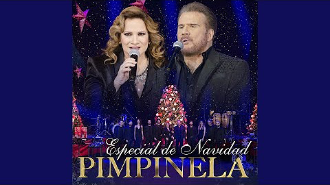 Pimpinela - YouTube