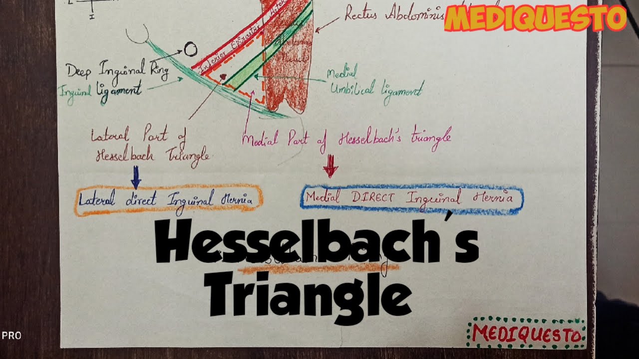 Hesselbach's Triangle. #AbdomenAnatomy - YouTube