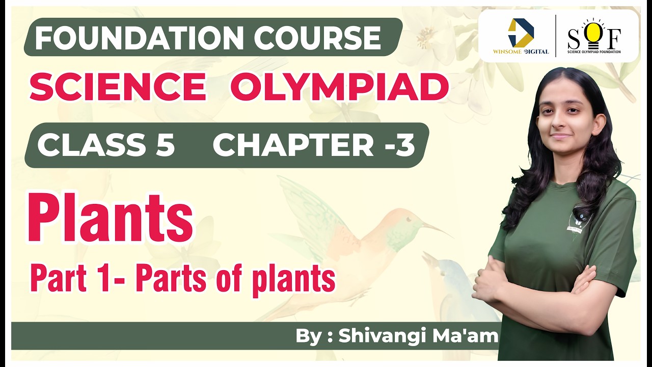 Class 5 Science Olympiad | Chapter 3- Plants | Part 1- Parts of plant ...