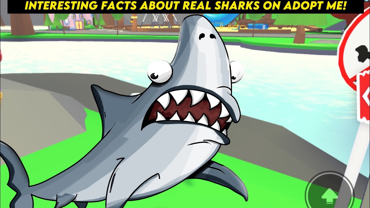 INTERSTING FACT ABOUT *REAL* SHARKS ON ADOPT ME! #adoptme #roblox # ...