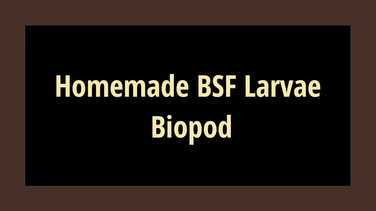 Homemade Black Soldier Fly (BSF) Larvae Biopod - YouTube