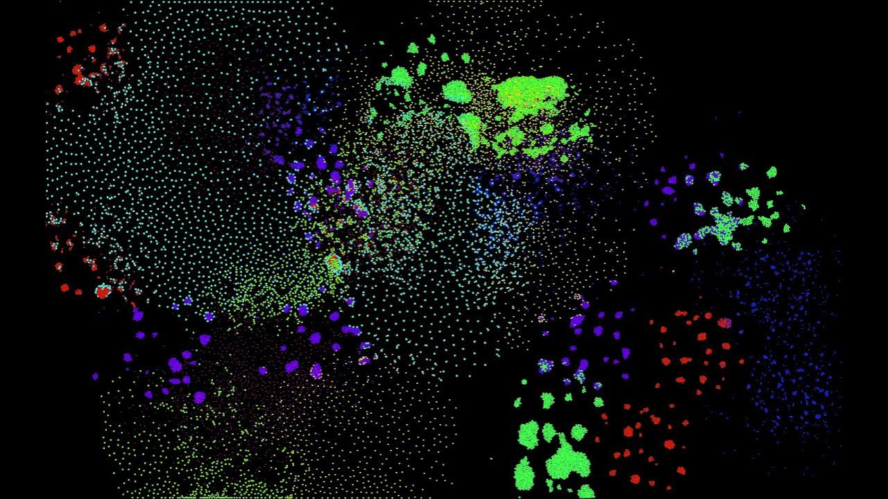 Particle Life Simulation! - YouTube