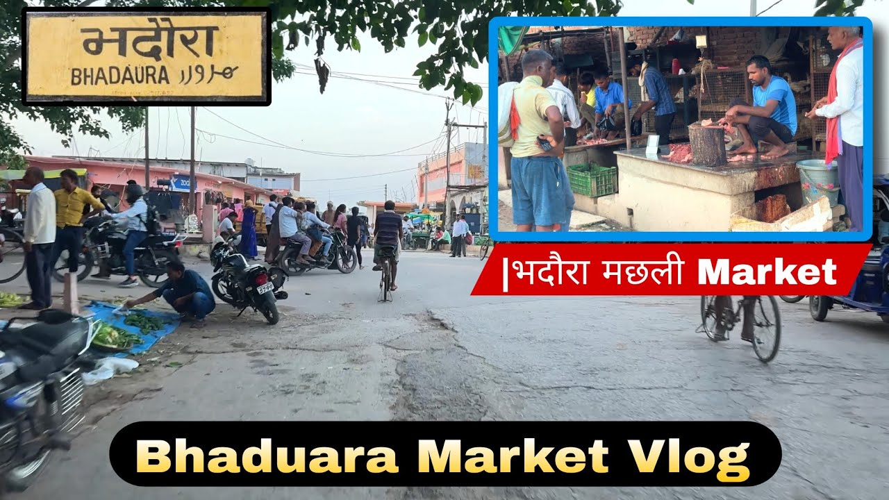 Bhadaura Market | Bhaduara Market Ka video | भदौरा मछली Market vlog ...