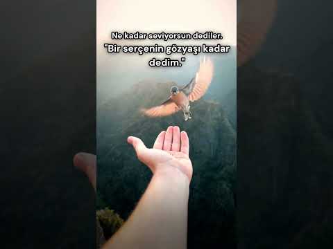 Bir serçenin gözyaşı kadar seviyorum.