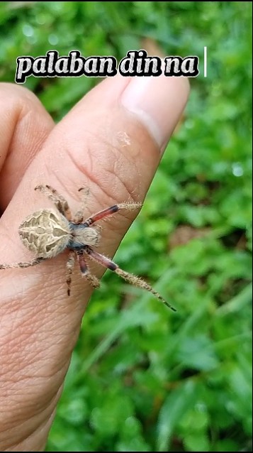 rain or shine tlga ang mga GEE - YouTube