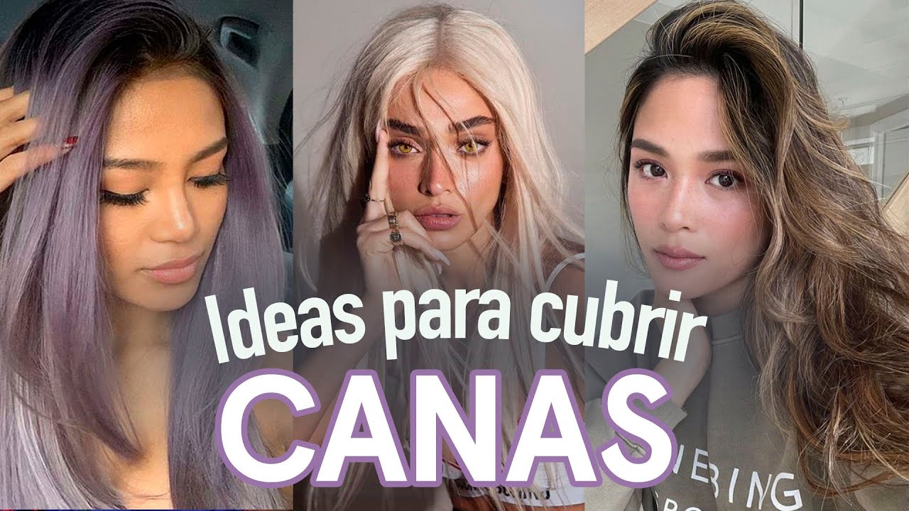 TINTES PARA TAPAR CANAS 🌟 (CABELLO) - YouTube