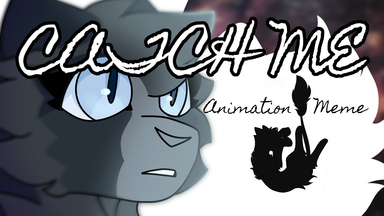 Catch Me // Animation Meme | ACA - YouTube