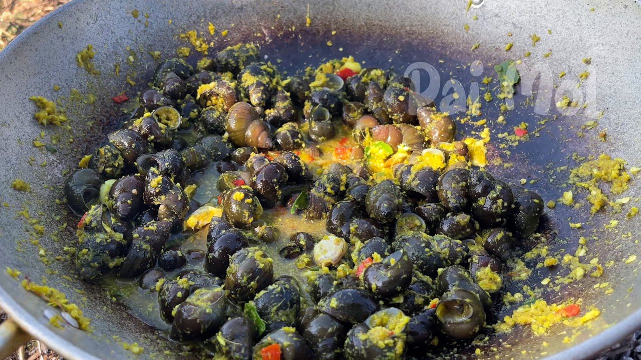 Find Snail Cook And Eating Delicious - YouTube
