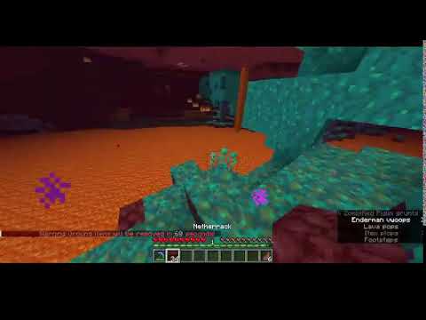 MInecraft SUS SMP
