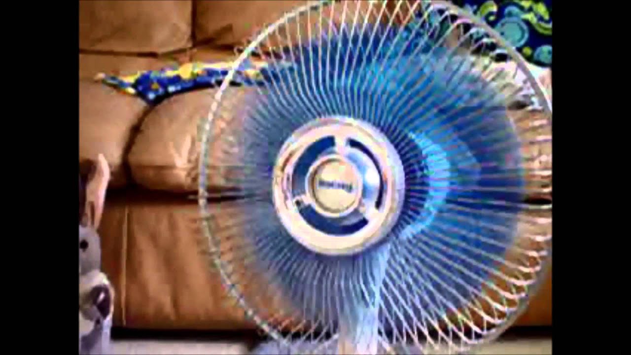 Some fans from my collection part 4 - YouTube