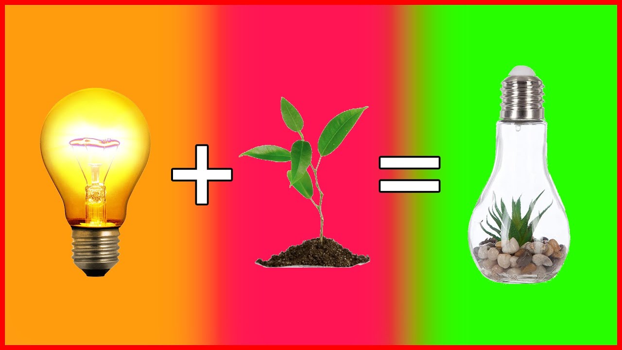 HOW TO MAKE A GARDEN IN A LIGHT BULB - YouTube