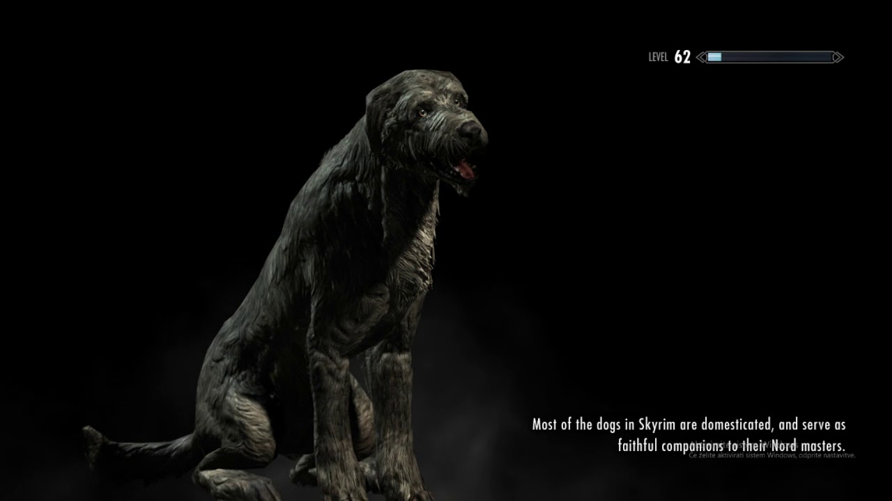 Skyrim Ordinator- Spirit Tutors - YouTube