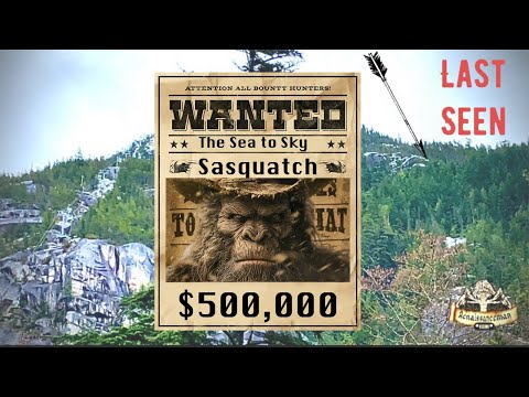 Sasquatch Hunting Expedition: Drone Footage & Bigfoot Reward Hunt at ...