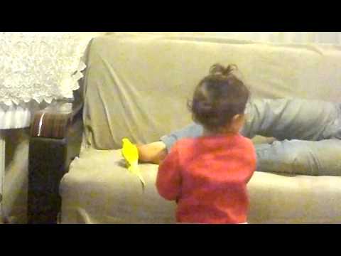 SAHİBİYLE KAVGA EDEN KUŞ