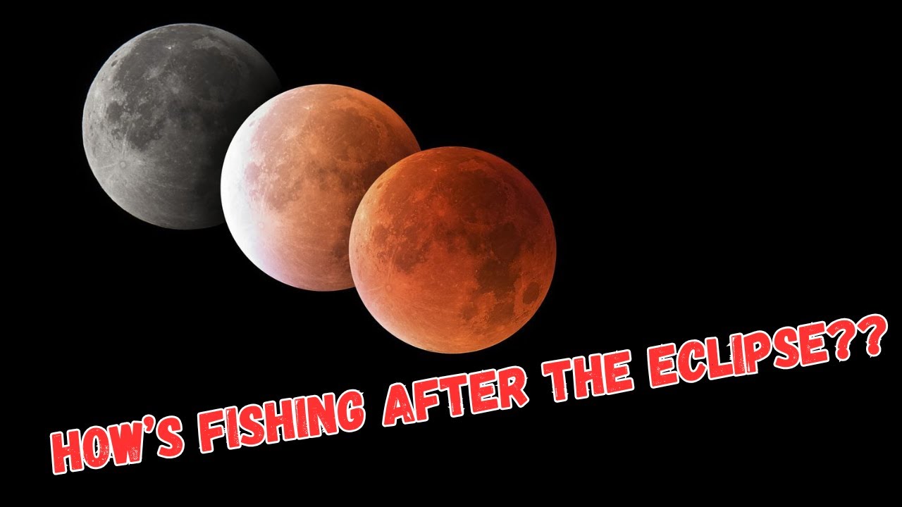 How is fishing the morning after the eclipse | Southwest Florida ...