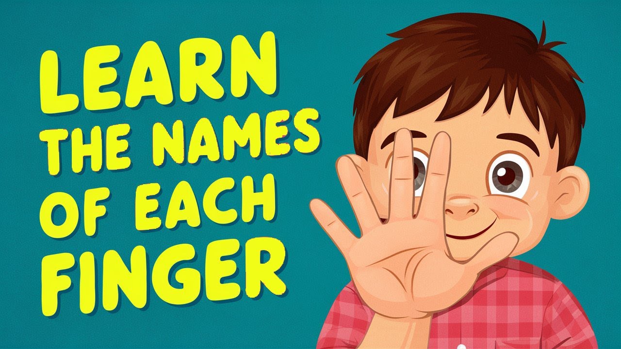 Finger Names | Engaging Song for Learning Finger Names | Toddlers ...