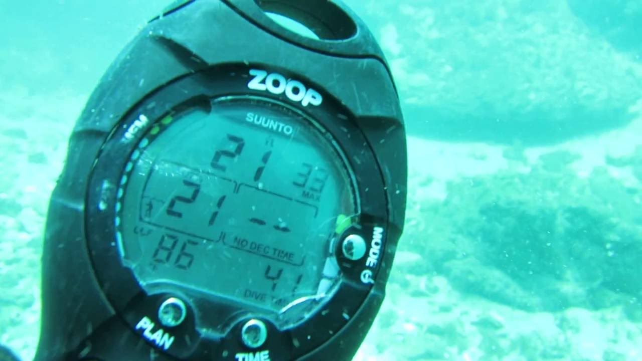 Laura Parke Scuba In Jupiter Florida with a Snooks Convention - YouTube