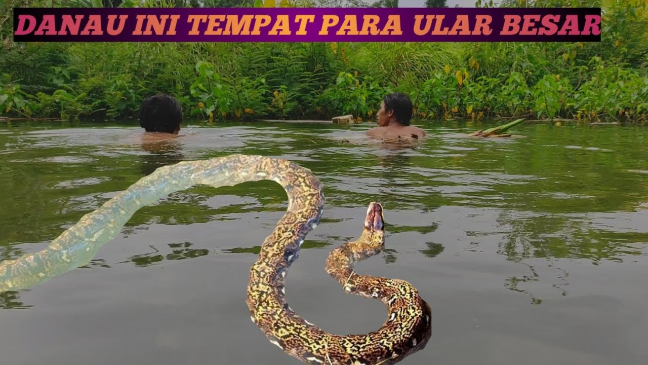 EXPEDISI DANAU ULAR BESAR - YouTube