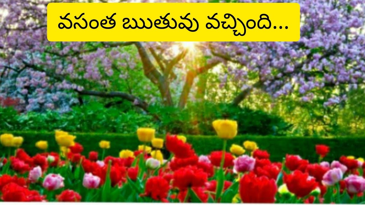 Vasanta rutuvu vachindi ||Seasons song||@PVVSongs - YouTube