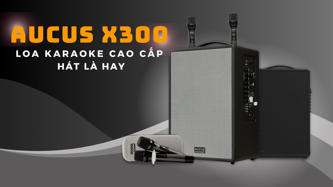 Review loa karaoke di động xách tay ACNOS AUCUS X300 - Cao cấp, hát hay ...