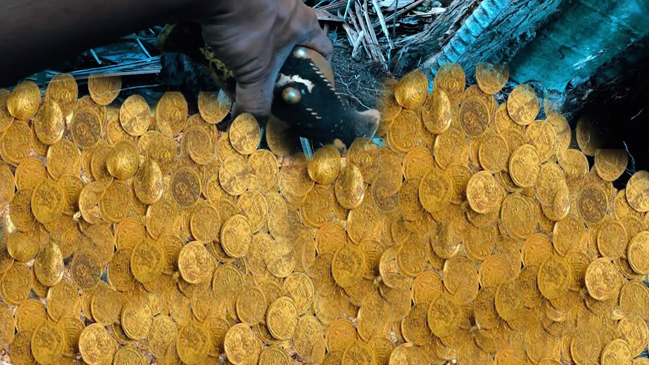 gold coins found as detected by scanner long range - YouTube