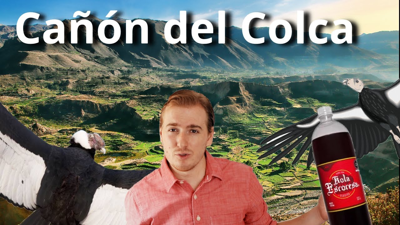 Vi al Cóndor andino 🤩 ⛰️EN EL CAÑÓN DEL COLCA ⛰️ 🇵🇪 - YouTube