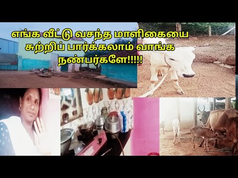 Oru small home tour..எங்க வீட்டு வசந்த மாளிகையை வாங்க சுற்றிப் ...