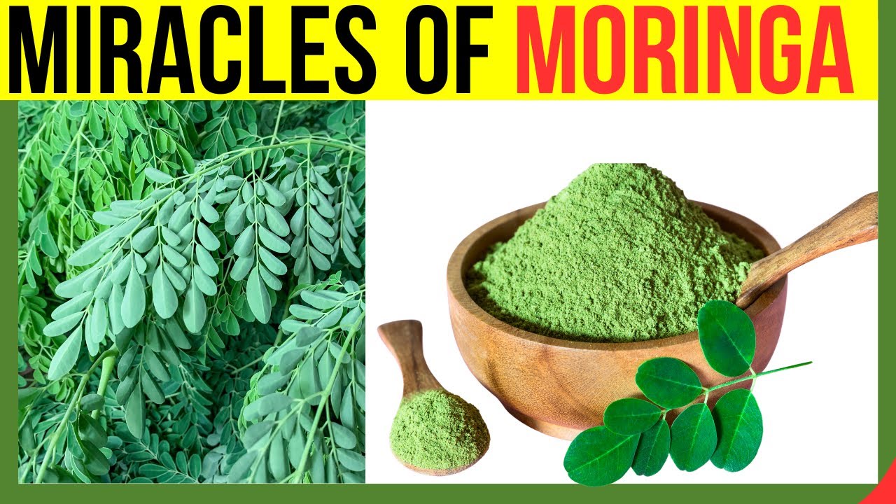 8 Benefits Of MORINGA | The Healing Power Of Moringa - YouTube