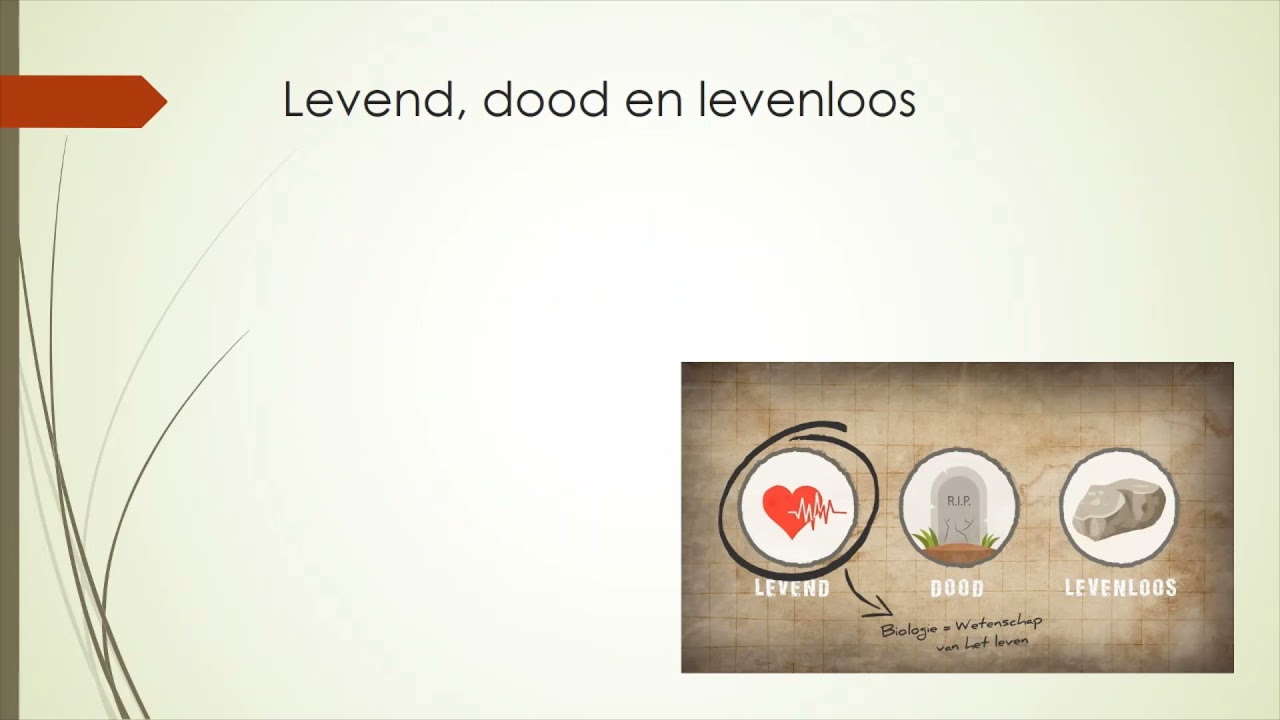 Levend, dood en levenloos - YouTube