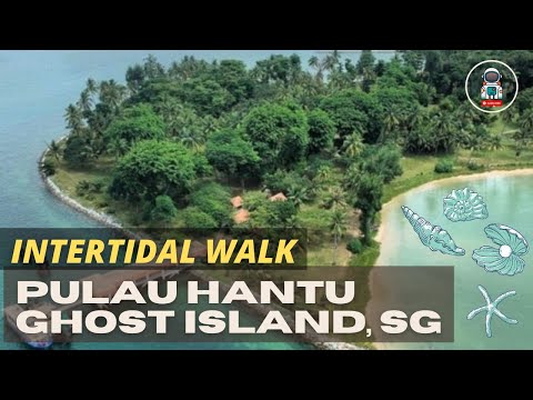[Hiking] Pulau Hantu Intertidal Walk - Ghost Island of Singapore ✅