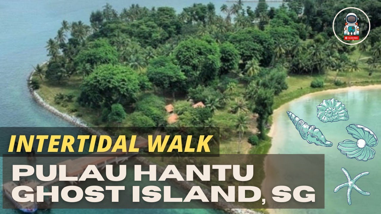 [Hiking] Pulau Hantu Intertidal Walk - Ghost Island of Singapore - YouTube