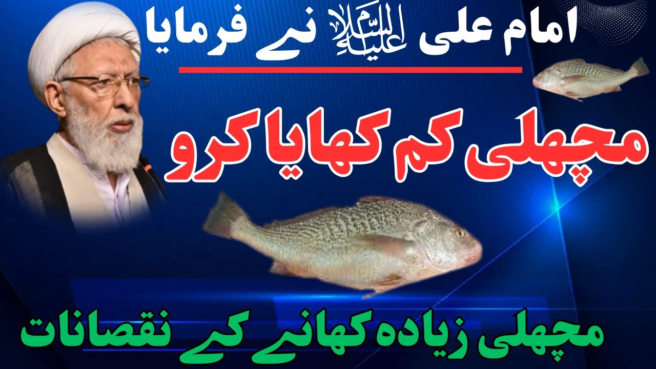 IMAM ALI as NAE FARMAYA !! MASHLE (FISH ) KAM KAHAY KARO (allama shifa ...