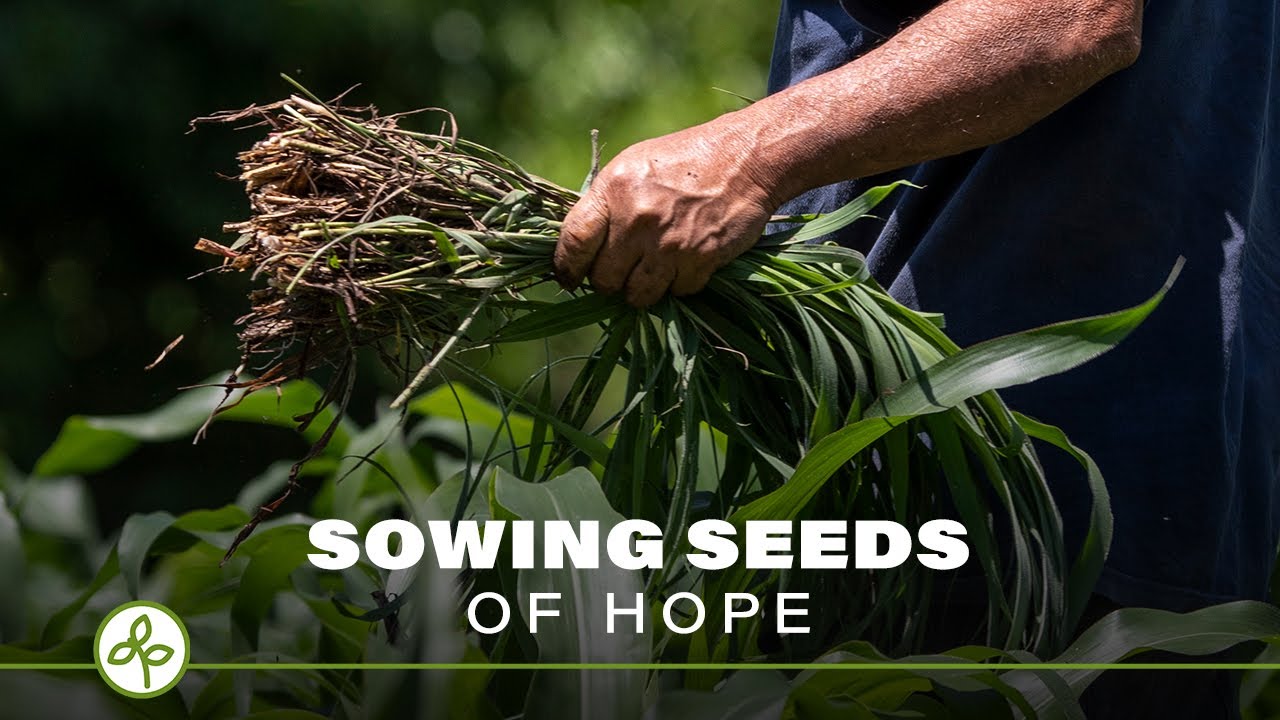 Empowered Farmers, Improved Yields | Santa Rosa Agriculture Update ...