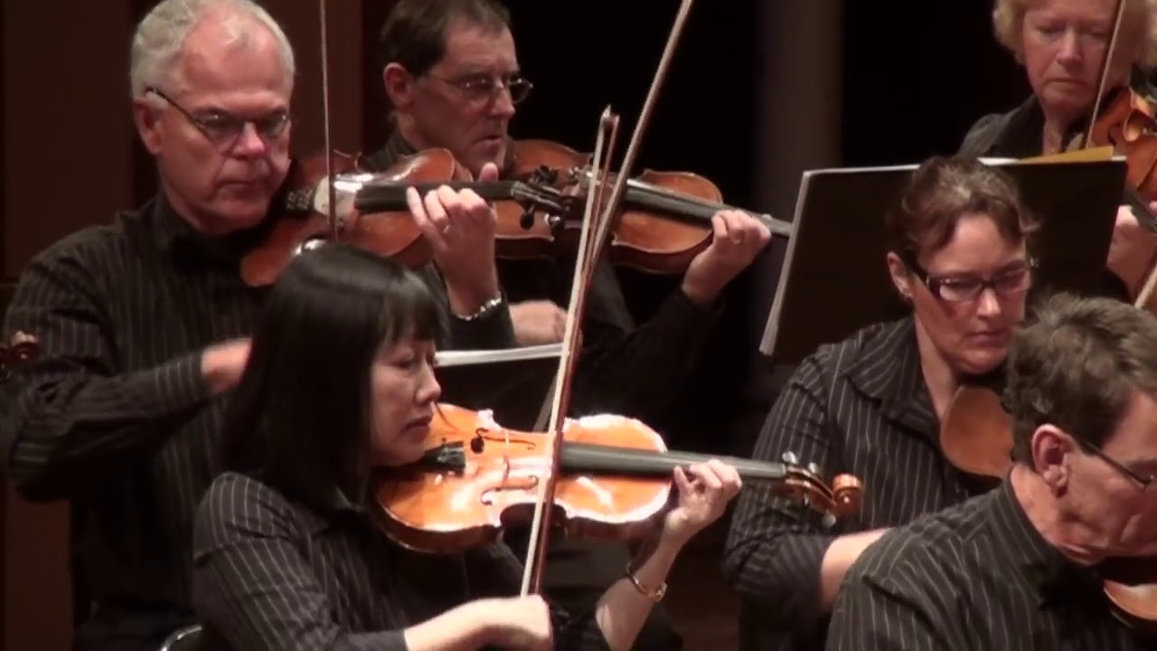 Pirates of the Caribbean Auckland Symphony Orchestra 1080p - YouTube