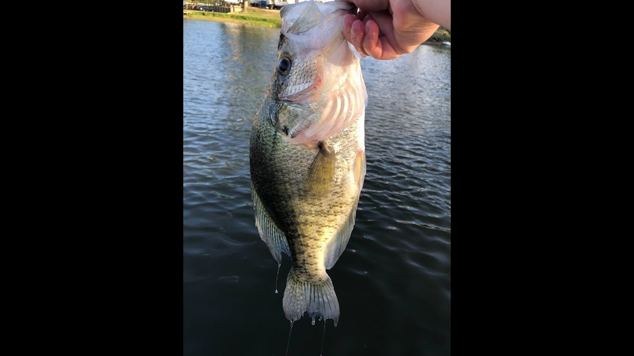 You have to watch this Crappie Fishing Trip! I got on Some Monsters ...