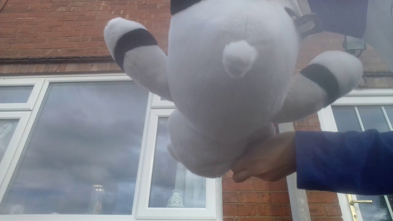 Come back bear - YouTube