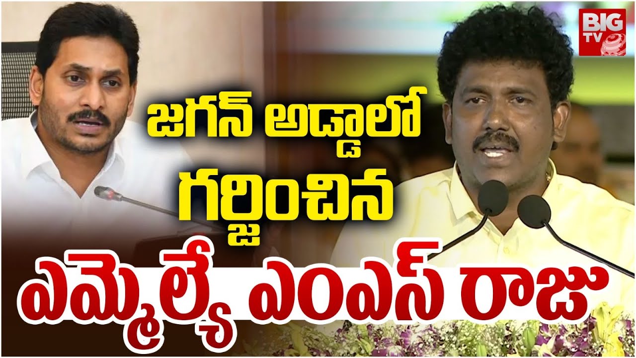 MLA MS Raju Fires On YS Jagan | జగన్ అడ్డాలో గర్జించిన ఎమ్మెల్యే ఎంఎస్ ...