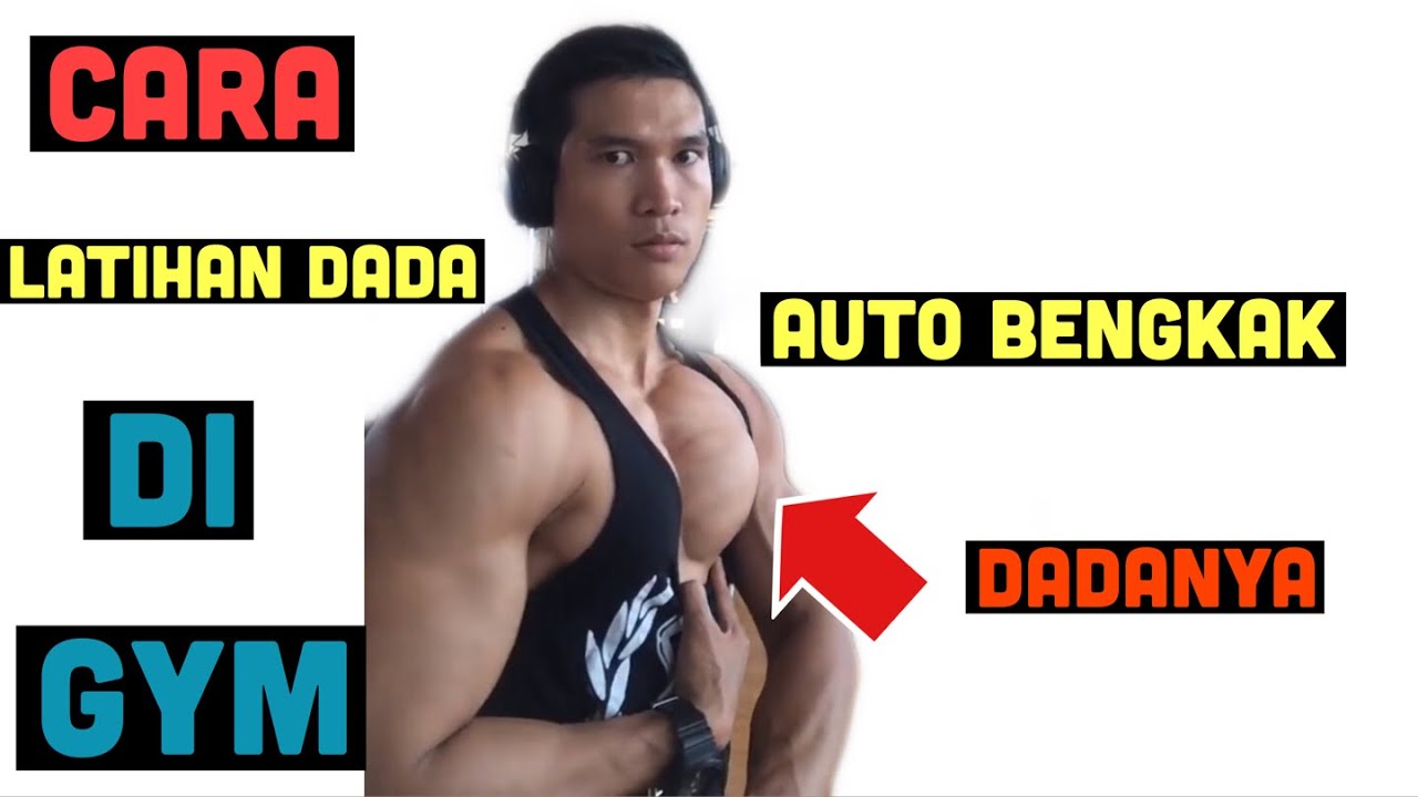 LATIHAN OTOT DADA DI GYM - YouTube