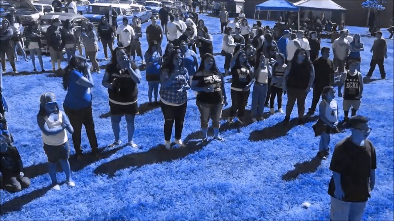 Tweety Brd performing at Watsonville Ridaz carshow 2016 - YouTube