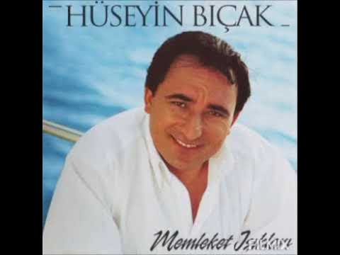 Hüseyin Bıçak - Yunuslar dizi dizi | HD Dinle indir