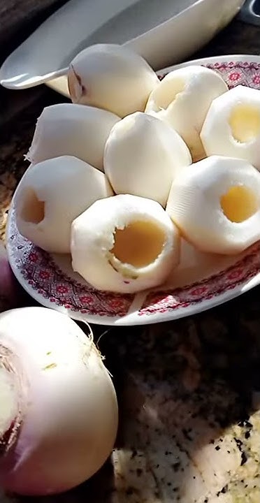 ابو سمير وام سمير...راح يطبخولنا اليوم لفت محشي...تابعونا - YouTube