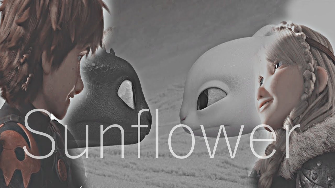 Hiccup & Astrid | Toothless & Light Fury | Sunflower - YouTube